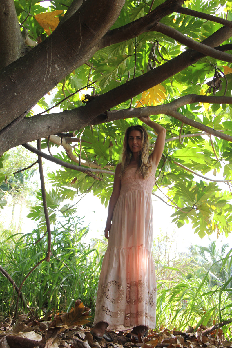 What is The “Dirty Dozen” List – Voyaging Foods