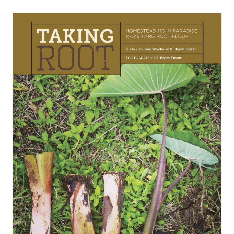 Making Taro Root Flour in Paradise- how to make taro root powder ...